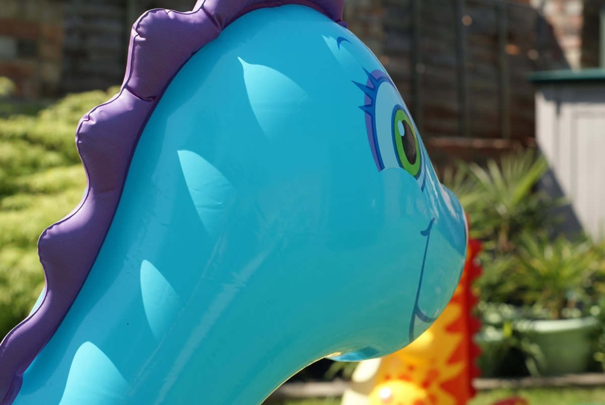 Photography Competition | Ashford Church of England Primary School